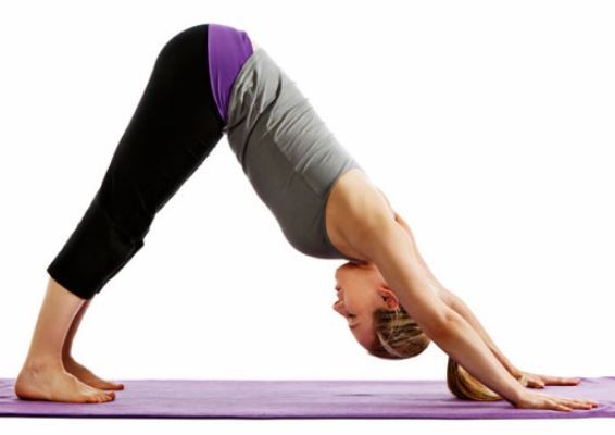 견상자세 (Down Dog pose) : 네이버 블로그