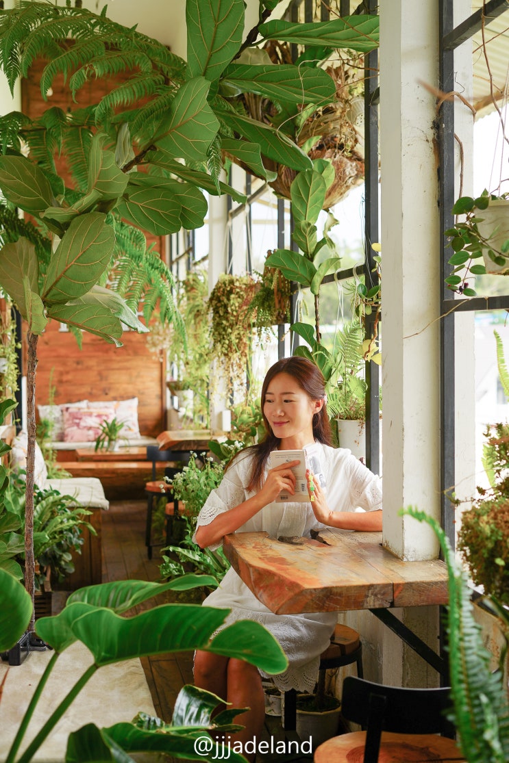 나트랑 패키지 여행 베트남 달랏 1박2일 투어 콜린 호텔 야시장 네이버 블로그