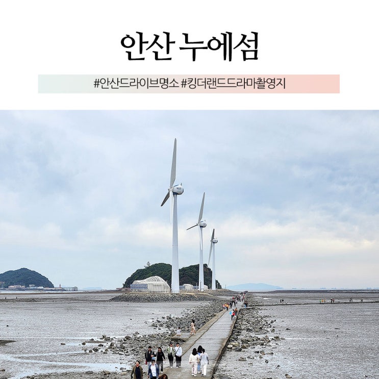 안산 누에섬 물때 킹더랜드 촬영지 드라이브 코스 네이버 블로그