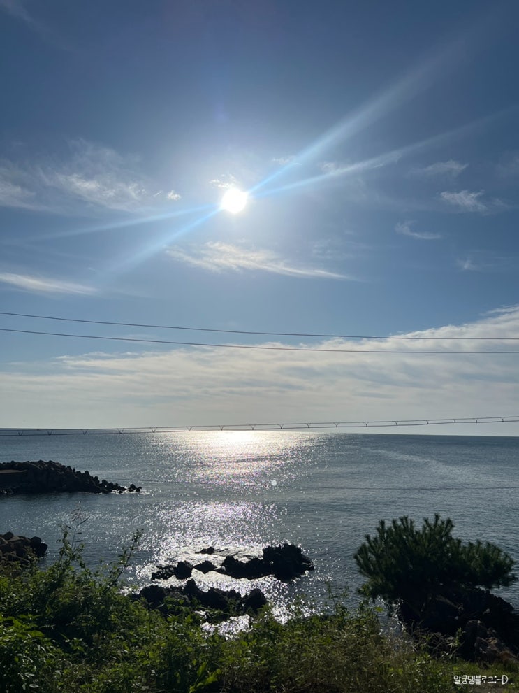 주간일기 :: 231002-231008 : 네이버 블로그