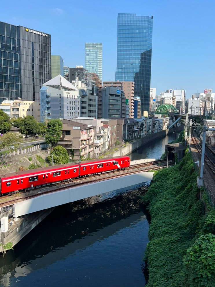 0928 사보우루, 스즈메의문단속 로케(오챠노미즈), 아이폰15 구경, 긴자 람브르, 오니기리 봉고 : 네이버 블로그