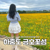 가을꽃 구경 하기 좋은 코스모스로 둘러싸인 대구 하중도 금호꽃섬 네이버 블로그