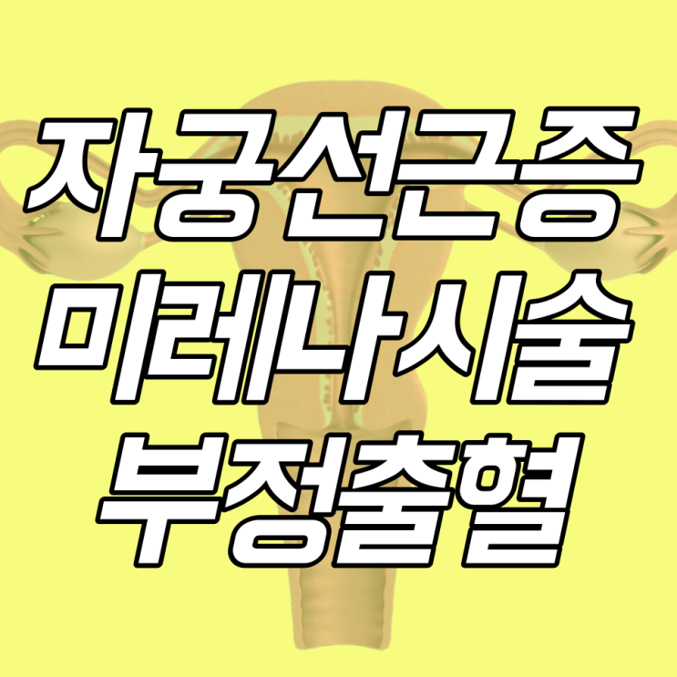 자궁선근증 미레나 시술 치료 부정출혈 안전할까 네이버 블로그
