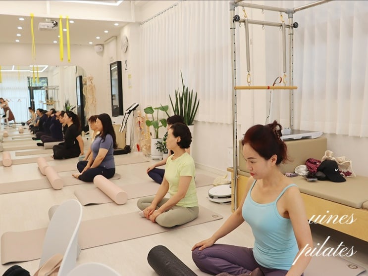 포항북구필라테스 전문적인 맞춤 그룹레슨 후기 네이버 블로그