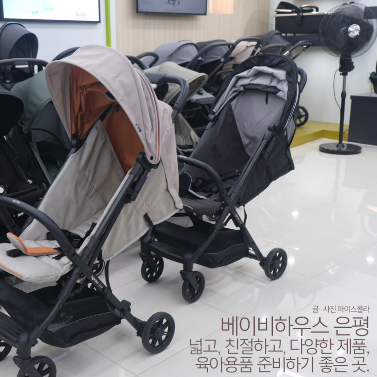 베이비하우스 은평 잉글레시나 뉴 퀴드2 휴대용 유모차 보고왔어요 네이버 블로그