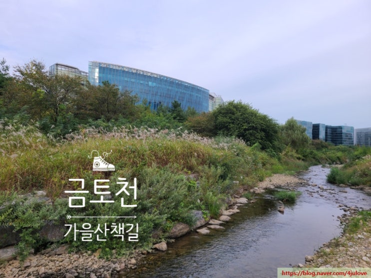 판교 산책길 운중천 판교 도심 화랑공원 생태림 금토천 And 판교테크노밸리 Vintage 1988 그리고 자연탐방