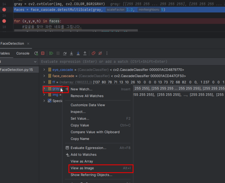 Opencv Python 강의 10 영상 디버깅 Image Viewer 디버그 Debug 플러그인 Plugin 변수 확인 이미지 Pil Pillow 읽기