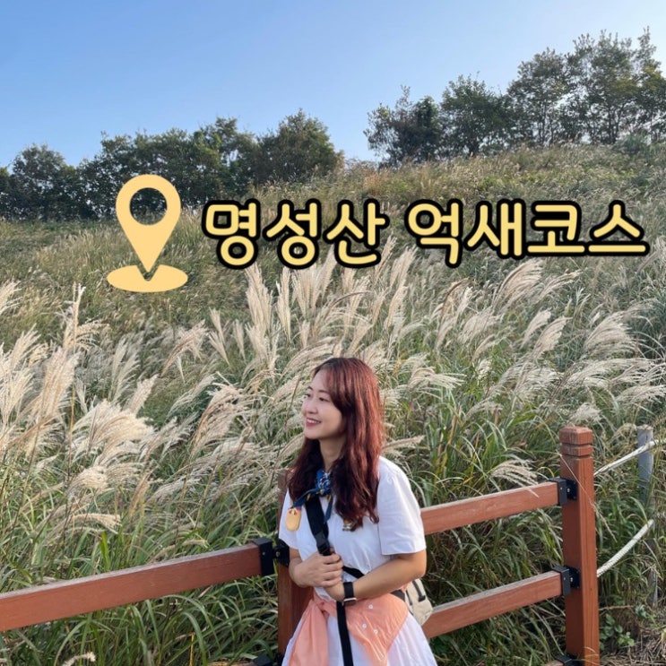 등산포천 가을억새 추천산 ‘명성산 억새 등산코스 네이버 블로그