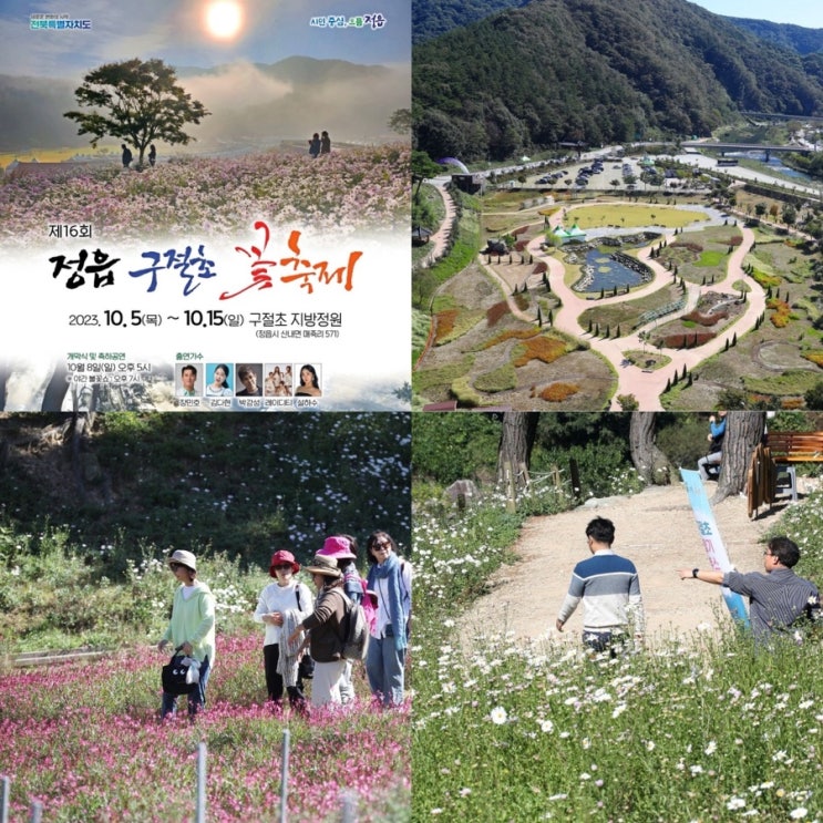정읍 구절초축제 기간 일정 셔틀버스 주차장 총정리 정읍 가볼만한곳 네이버 블로그