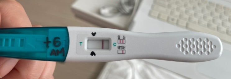 시험관 6차 동결이식 감자배아 6일차 임테기 상급배아 반복착상실패 네이버 블로그