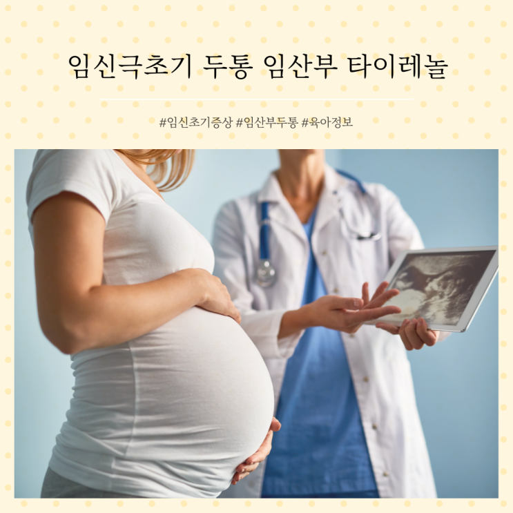 임신극초기증상 두통 어지러움 원인 임산부 타이레놀 복용량 주의 네이버 블로그