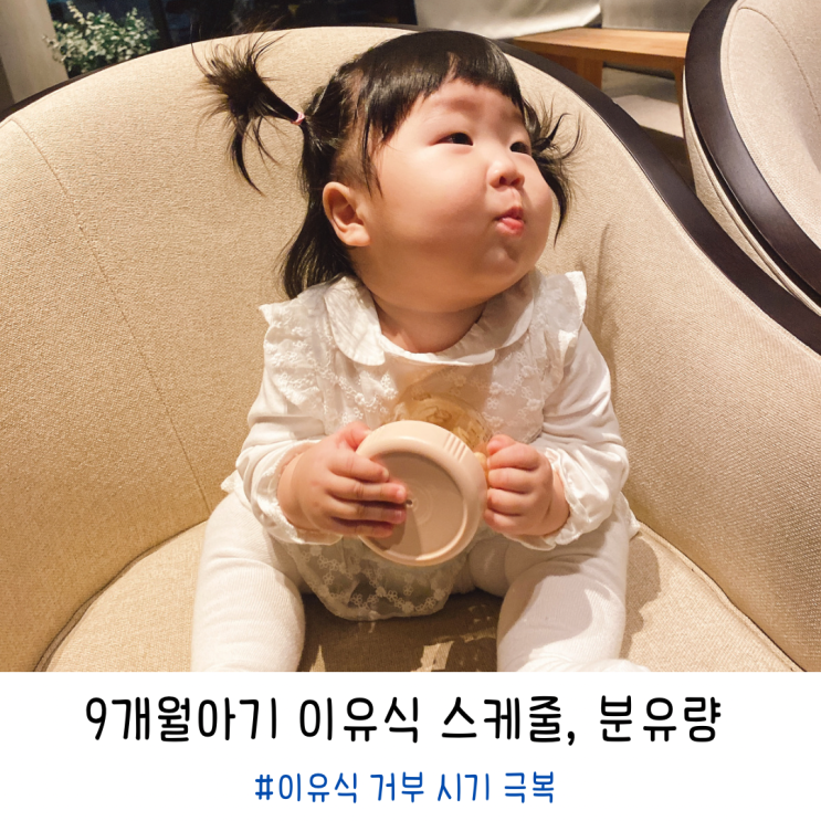 9개월아기 이유식 3끼 스케줄 양 분유량 이유식거부 시기 극복 네이버 블로그
