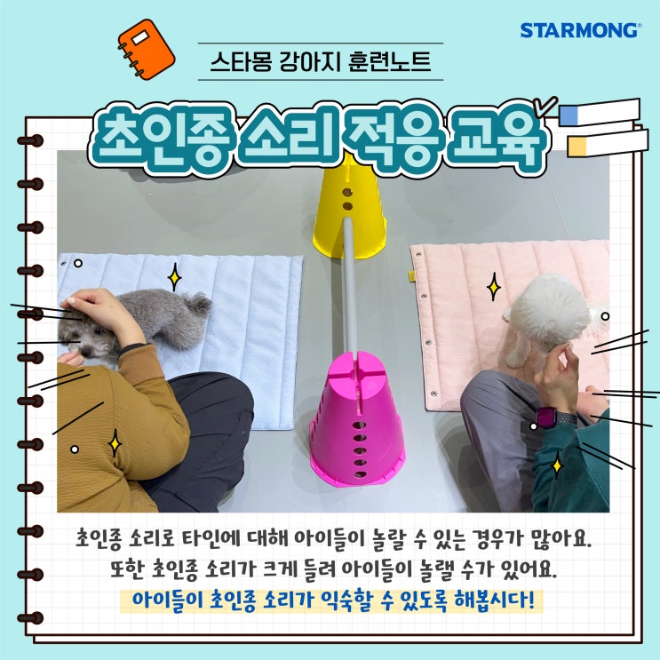 강남강아지유치원 애견유치원 강아지 사회화 초인종 소리 적응 네이버 블로그