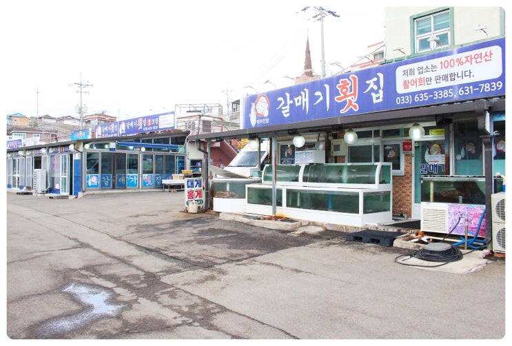 강원도 고성 맛집 갈매기횟집 강원도 고성 현지인 맛집 추천 네이버 블로그
