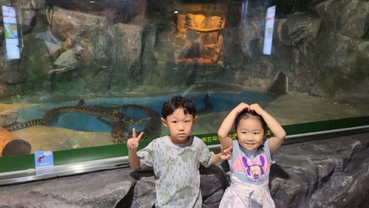 부산 아이랑 아기랑 갈만한곳 부산 해양 자연사박물관 무료 실내 아이와 가볼만한곳 어린이체험 추천 네이버 블로그