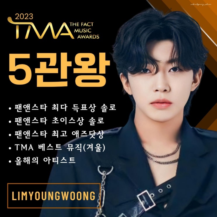 임영웅 '더팩트 뮤직 어워즈' 5관왕 등극…역시 히어로 : 네이버 블로그