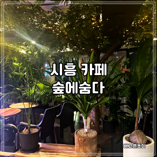 시흥 물왕저수지 캠핑 카페 숲에숨다 전진 류이서 부부 다녀간 곳 네이버 블로그