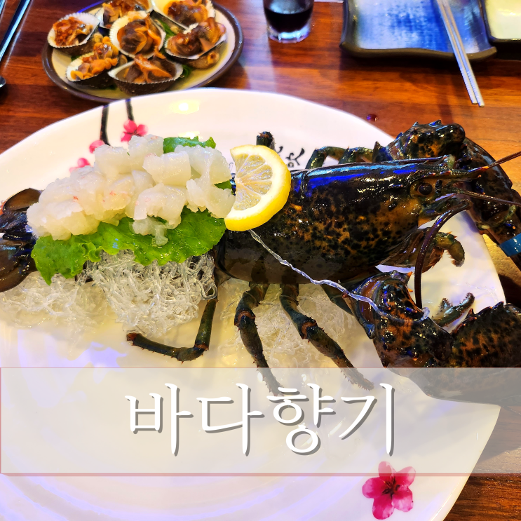 대전 탄방동 바다향기에서 랍스타 회 먹고왔어요