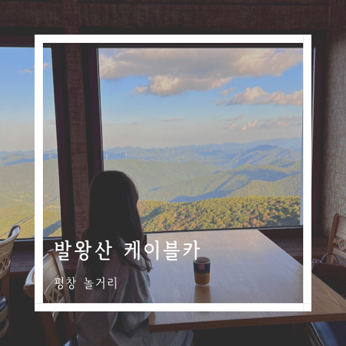 모나 용평리조트 발왕산 케이블카 기 스카이워크 평창 가볼만한 곳 놀거리 단풍 명소 추천 커피 엠스테이블 네이버 블로그