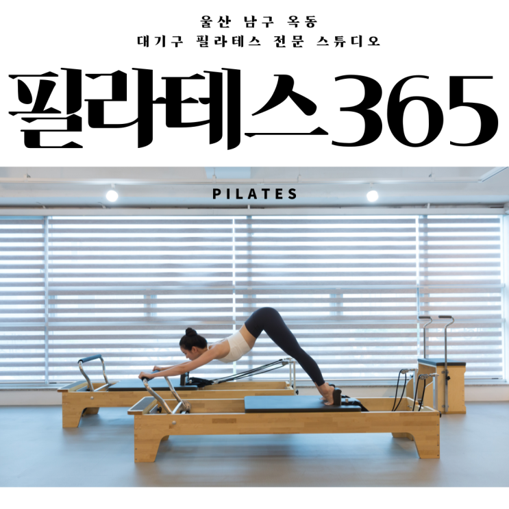 울산 남구 대기구 필라테스 전문 스튜디오 필라테스 365 네이버 블로그