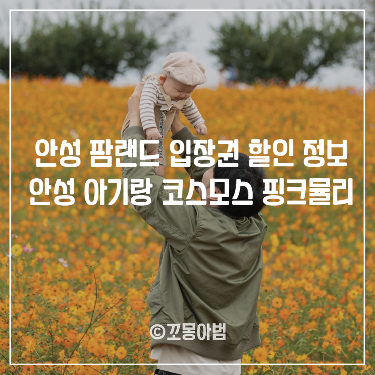 안성 팜랜드 할인 정보 핑크뮬리 코스모스 안성 아기랑 갈만한 곳 네이버 블로그