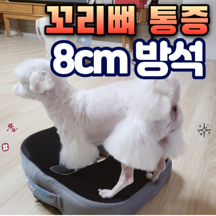 내돈내산) 8cm 치질 방석/꼬리뼈 통증/장거리 운전에 추천 : 네이버 블로그