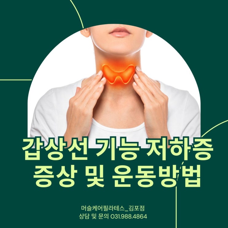 갑상선 기능 저하증 증상 및 운동방법 네이버 블로그