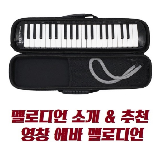 멜로디언 멜로디카 초등 멜로디언 추천 영창 에바 멜로디언 프리미엄 멜로디혼 멜로디온 호스 네이버 블로그