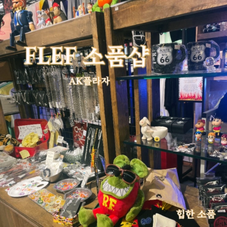 [홍대입구역]FLEF플래프 소품샵 AK플라자 캐쥬얼하고 힙한 소품과 옷들 : 네이버 블로그