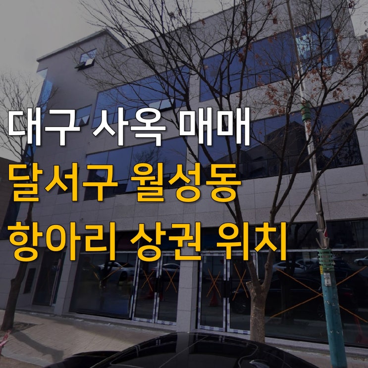 대구 사옥 매매 달서구 월성동 신축 100평대 통상가 아파트 밀집지역 항아리 상권 네이버 블로그