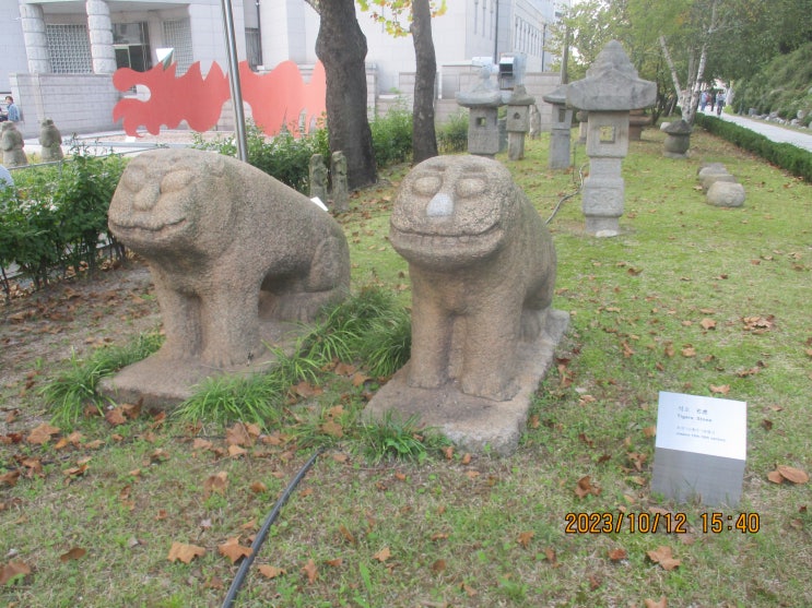 돌호랑이 코. : 네이버 블로그