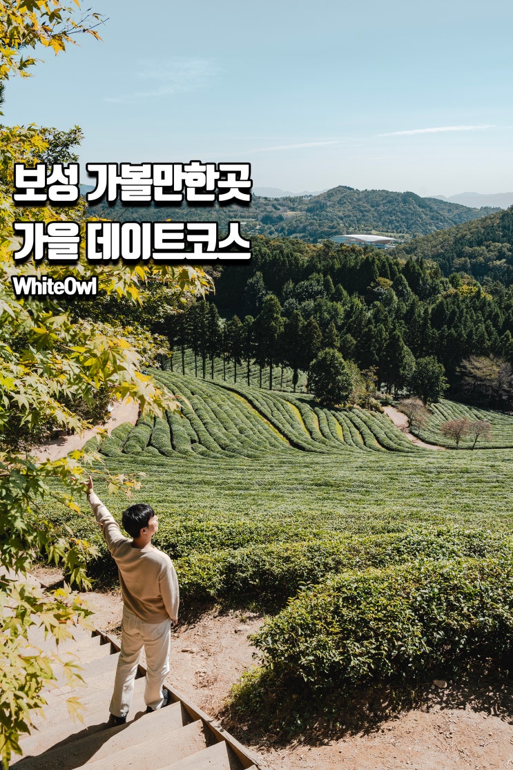 전남 보성 가볼만한 곳 데이트하기 좋은 가을여행코스 대한다원 중도방죽 득량역 추억의거리 등 Best5 네이버 블로그