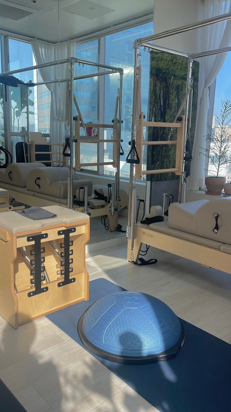 스파인 코렉터 탄방동 디어 필라테스 둔산동 필라테스 월평동 필라테스 괴정동 필라테스 갈마동 필라테스 탄방역 필라테스