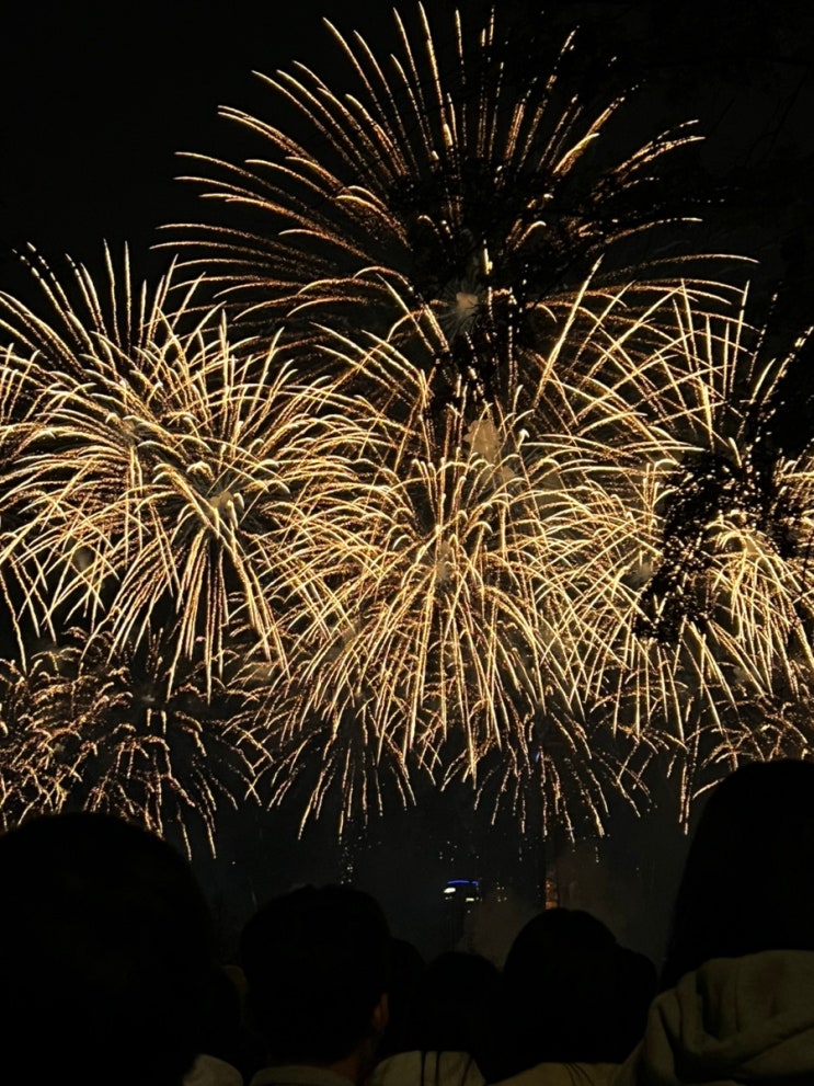 2023 여의도 불꽃축제 이촌한강공원 관람 후기 네이버 블로그
