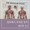 리앤뉴필라테스 해부학 첫수업 솔직후기 꿀팁대방출 네이버 블로그