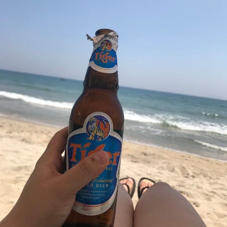 🇻🇳 베트남 2주 여행② 3~7일차 다낭호이안 네이버 블로그