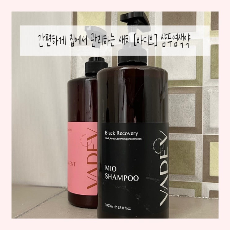 제품리뷰 간편하게 집에서 관리하는 새치 바디브 샴푸염색약 네이버 블로그