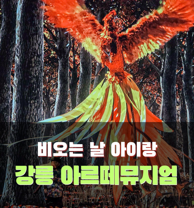 강릉 아르떼뮤지엄 비오는날 실내 가볼만한곳실시간 혼잡도 확인까지 네이버 블로그