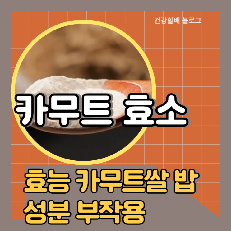 카무트 효소 효능 카무트 쌀 밥 성분 부작용 네이버 블로그
