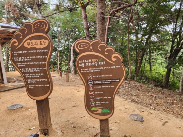 황토의 효능과 맨발 걷기 기대 효과 및 광교호수 공원 황토길 위치 주차 방법 체험 걷기 실시 후기 네이버 블로그