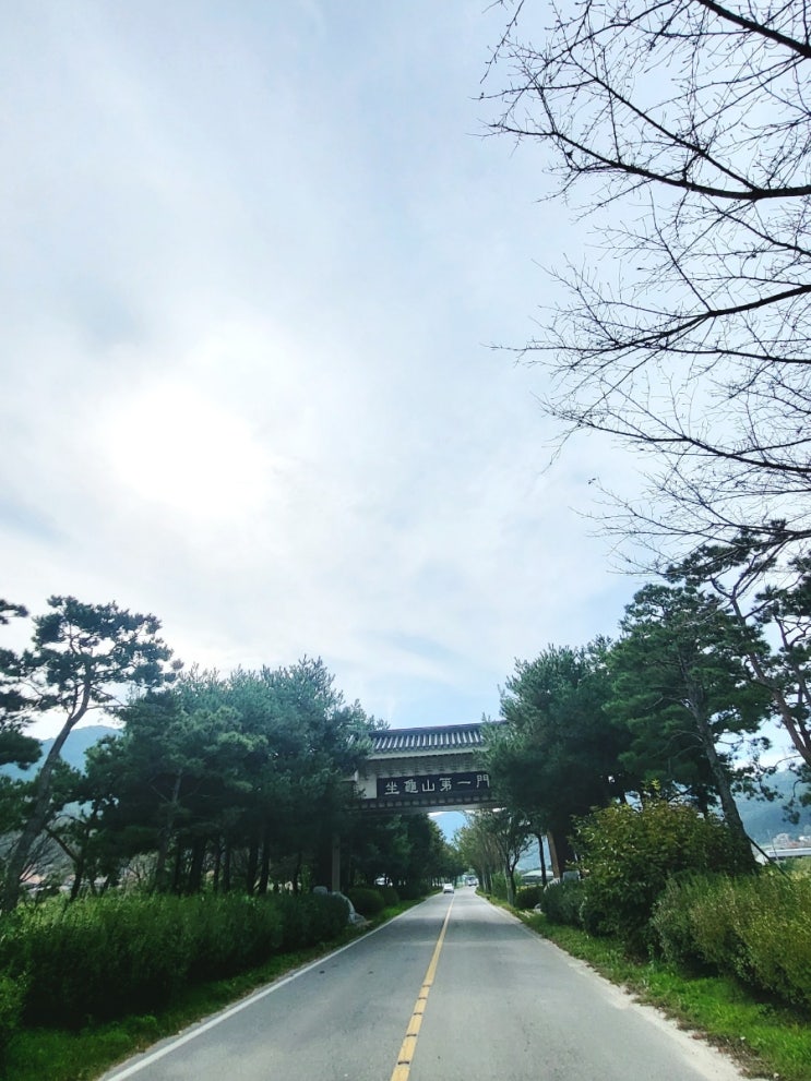 좌구산 자연휴양림 증평 여행 코스 좌구산 줄타기 명상 구름다리 체험코스 너무 좋은 충북 증평으로 👍 네이버 블로그