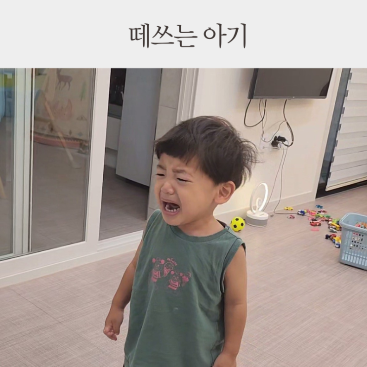 훈육 뜻 시기 떼쓰는 아이 2세 아기 실전 대처 방법 네이버 블로그