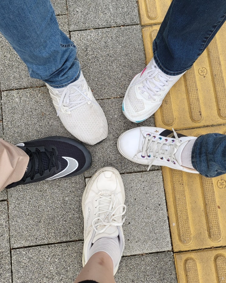 지금은 아파트 할 때입니다 : 네이버 블로그