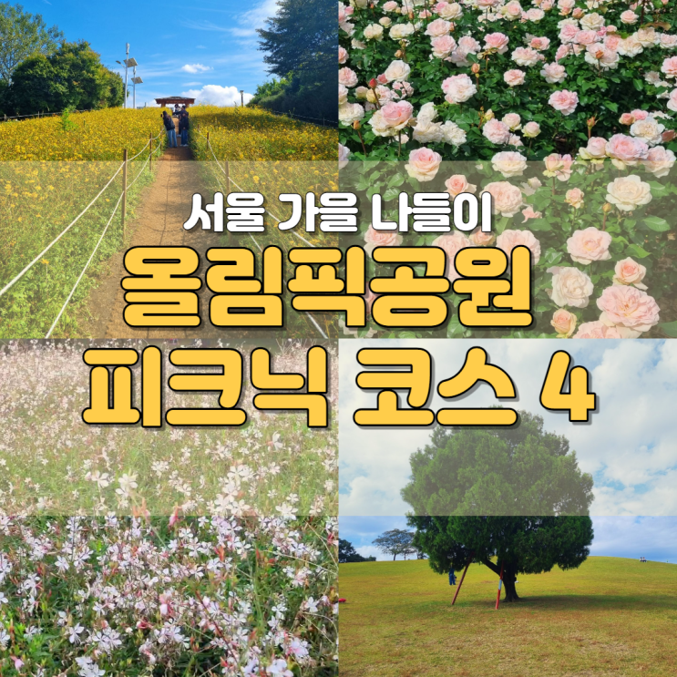 서울 가을 나들이 올림픽공원 피크닉 코스 추천 들꽃마루 코스모스부터 나홀로나무까지 데이트 즐기기 네이버 블로그