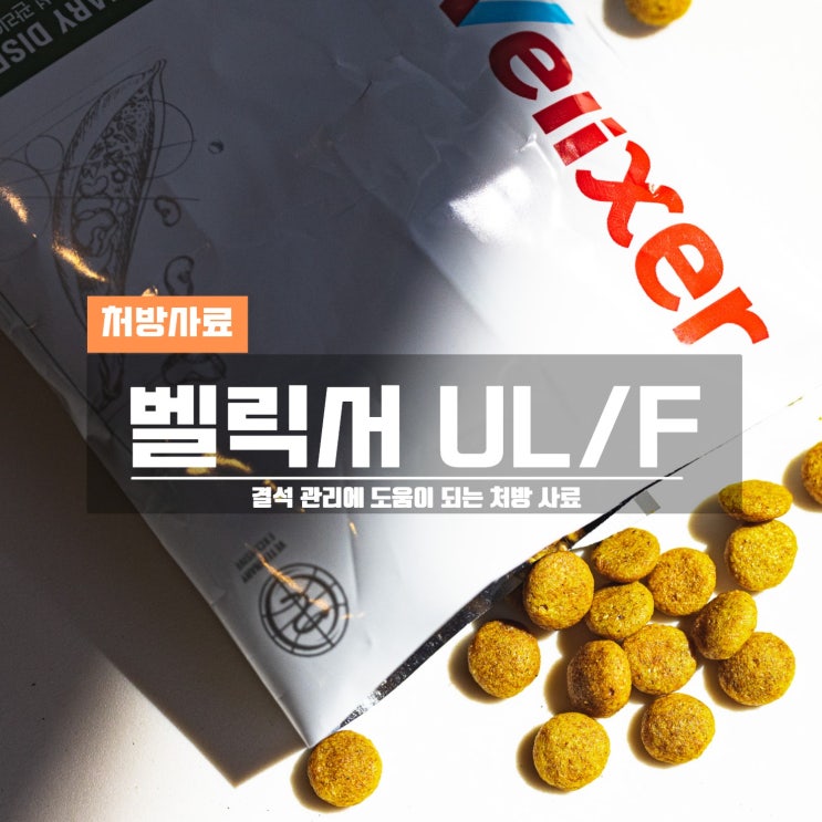강아지 스트루바이트 결석 예방에 처방 사료가 어떤 도움이 될까 벨릭서 Ulf 네이버 블로그