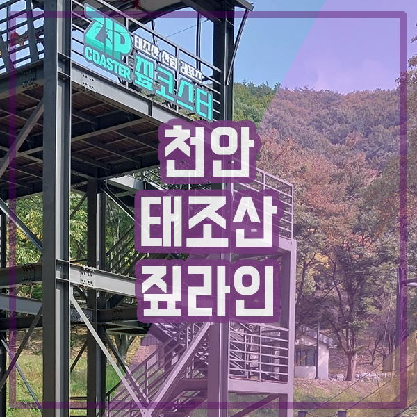 태조산 짚라인 짚코스터 무료 예약 방법 둘레길 및 주차 정보 네이버 블로그