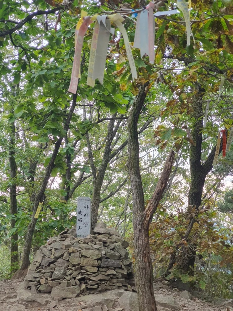 명산100+)아미산 등산코스 737.3m : 네이버 블로그
