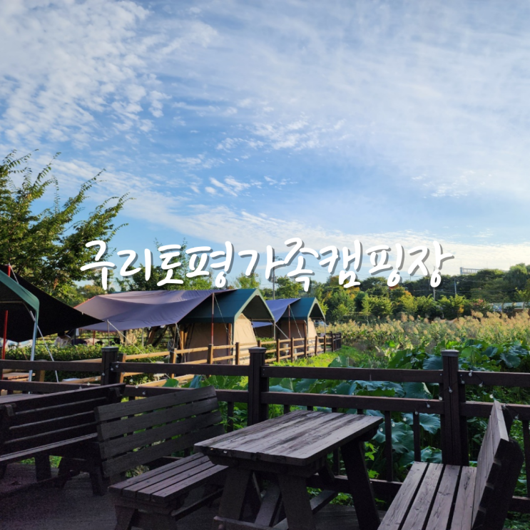 서울 근교 캠핑장 구리토평가족캠핑장 사이트 추천차박글램핑이 가능한 곳 네이버 블로그