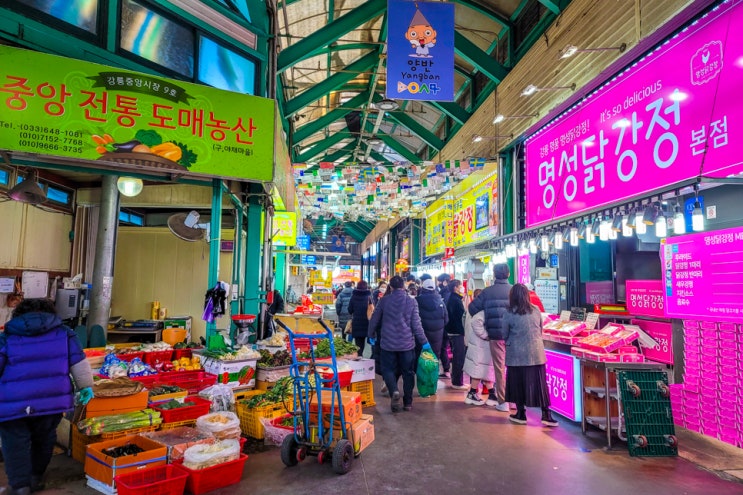 강릉중앙시장 먹거리 시간 강릉샌드 위치 주차장 소머리국밥 베니닭강정 회센터 네이버 블로그