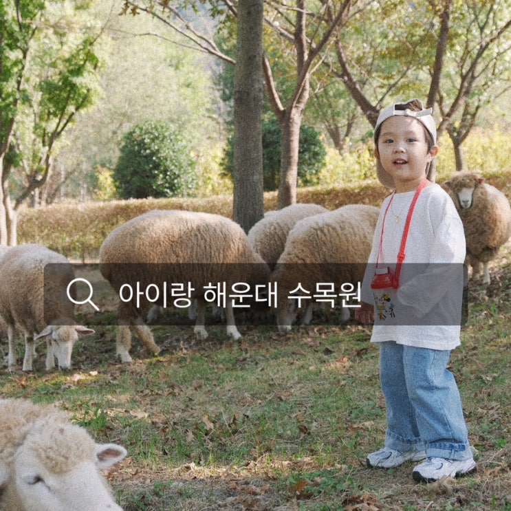 부산 아이랑 가볼만한곳 해운대수목원 관람카트예약 사진팁 네이버 블로그